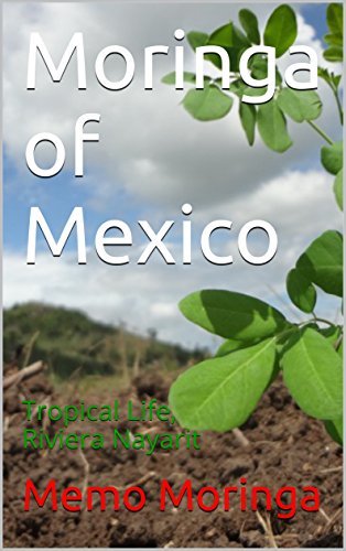 Moringa of Mexico: Tropical Life, Riviera Nayarit by Memo Moringa ...