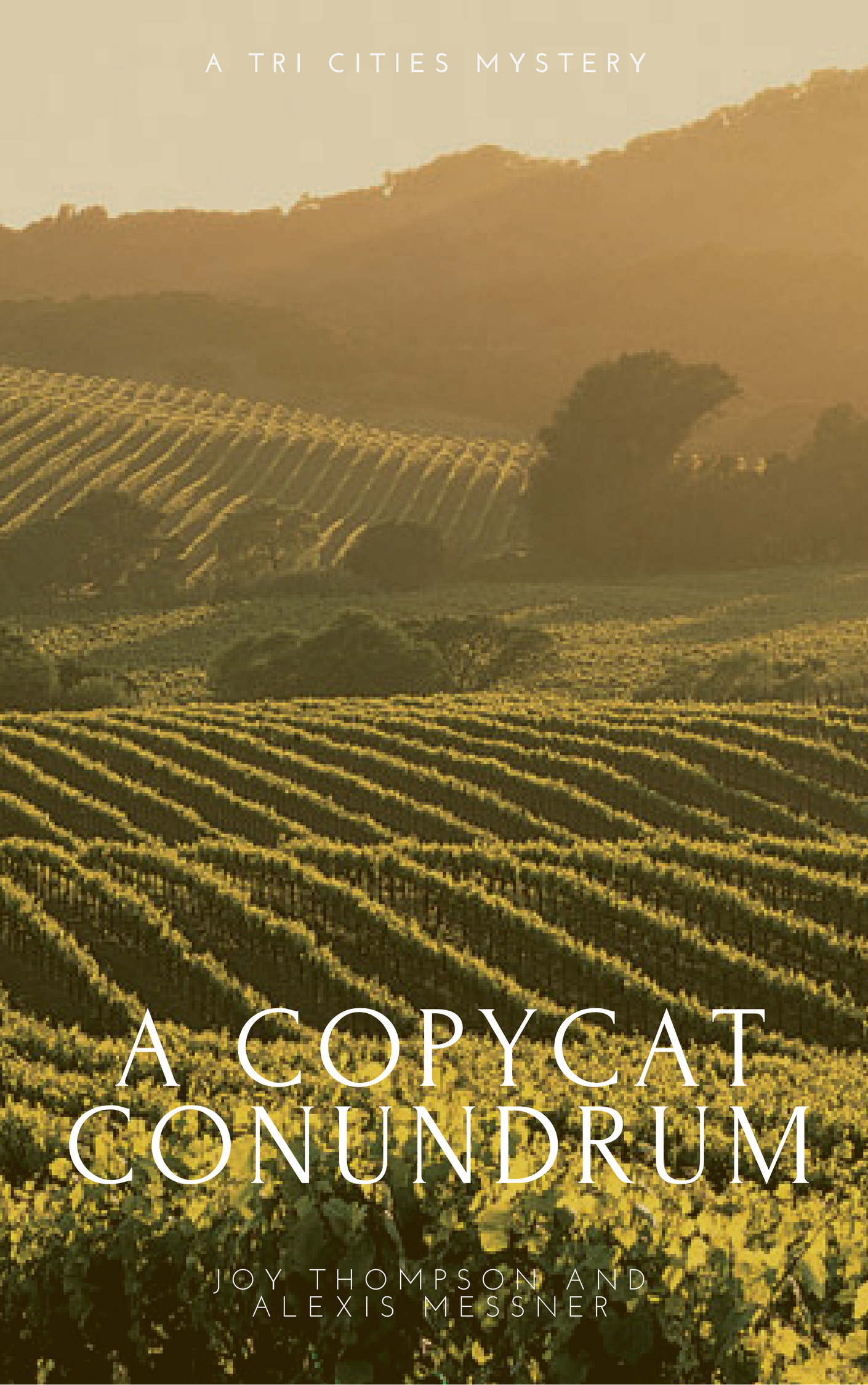 A Copycat Conundrum by Joy Thompson | Goodreads