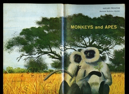 Monkeys and Apes (Nature Program) by National Audubon Society | Goodreads