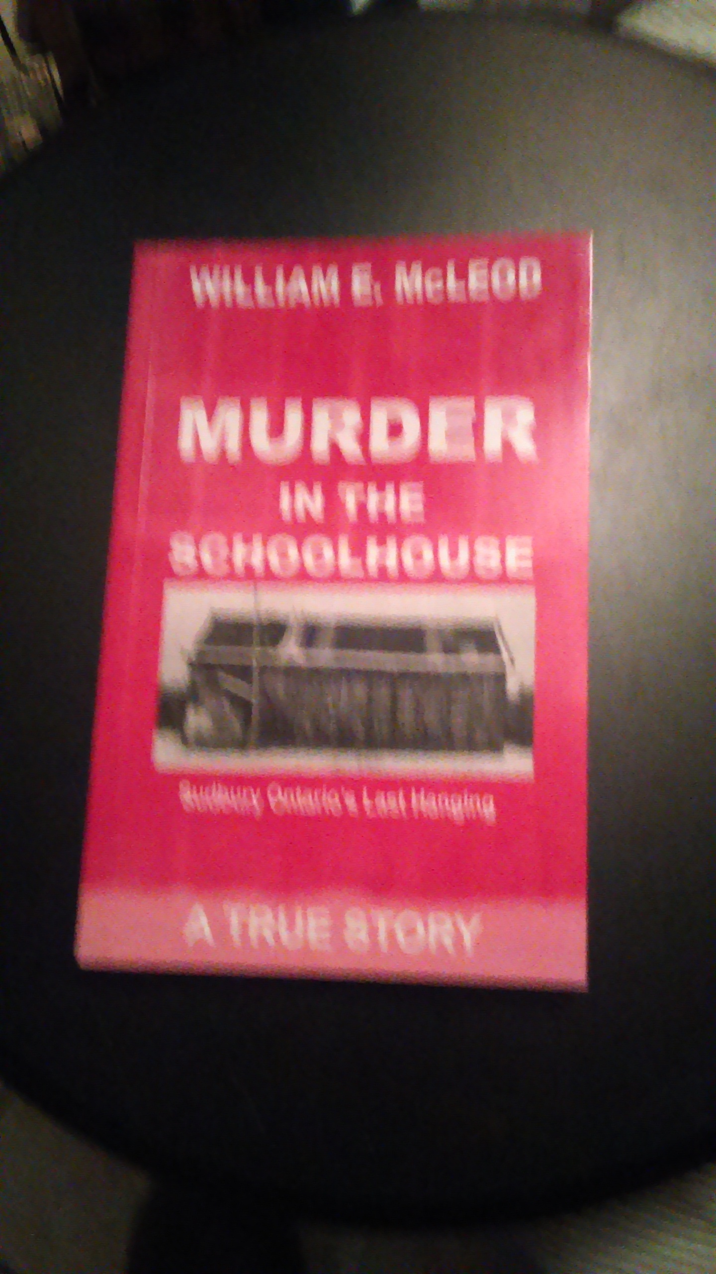 Murder in the Schoolhouse by William E. McLeod | Goodreads