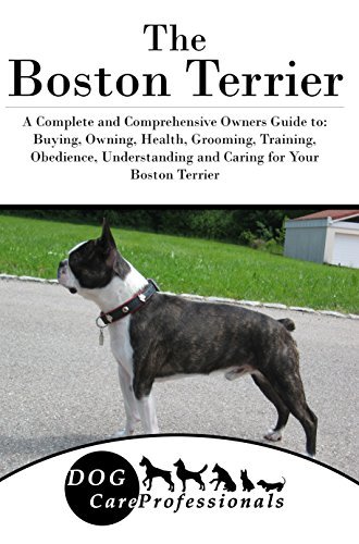 The Boston Terrier: A Complete and Comprehensive Owners Guide to ...