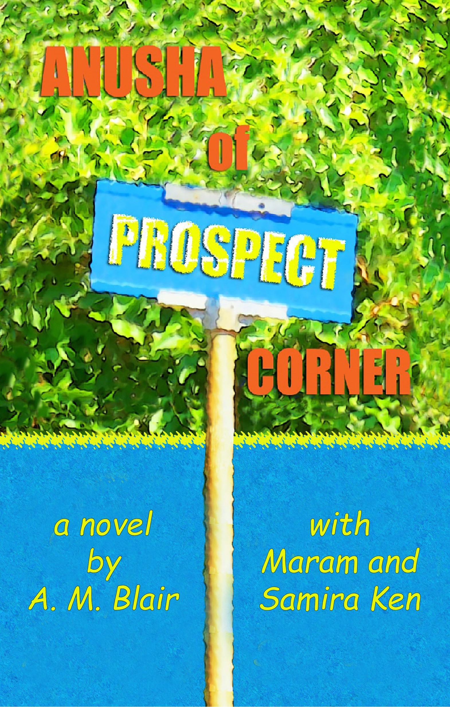 Anusha of Prospect Corner by A.M. Blair | Goodreads