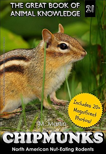 Chipmunks: North American Nut-Eating Rodents (The Great Book of Animal ...