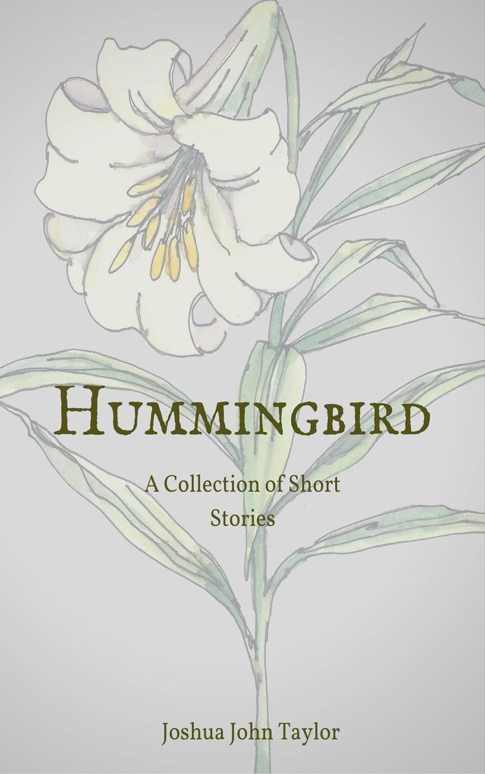 Hummingbird: A Collection of Short Stories by Joshua John Taylor ...