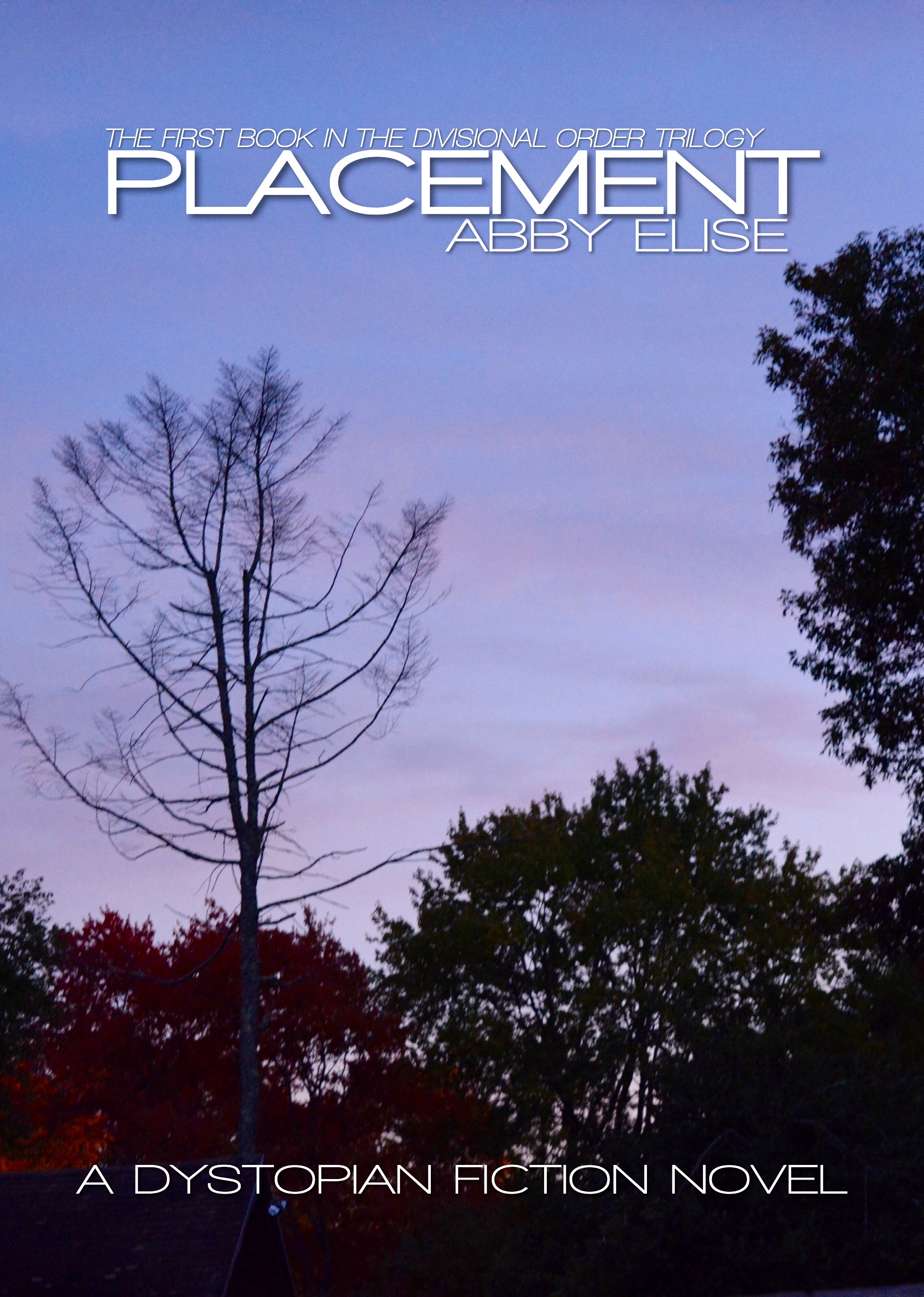Placement (The Divisional Order, #1) by Abby Elise | Goodreads