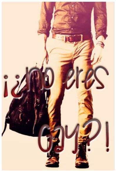 No eres gay?! by Isela Reyes | Goodreads