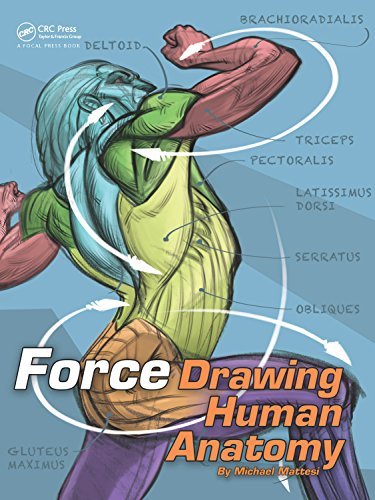 Force: Drawing Human Anatomy by Michael D. Mattesi | Goodreads