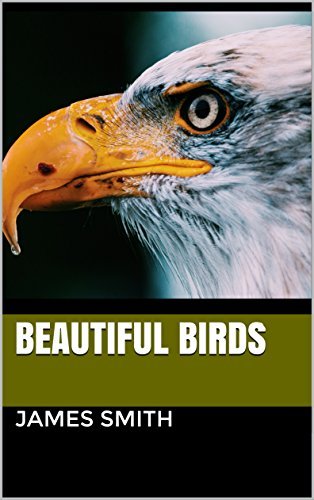 Beautiful Birds by James Smith | Goodreads