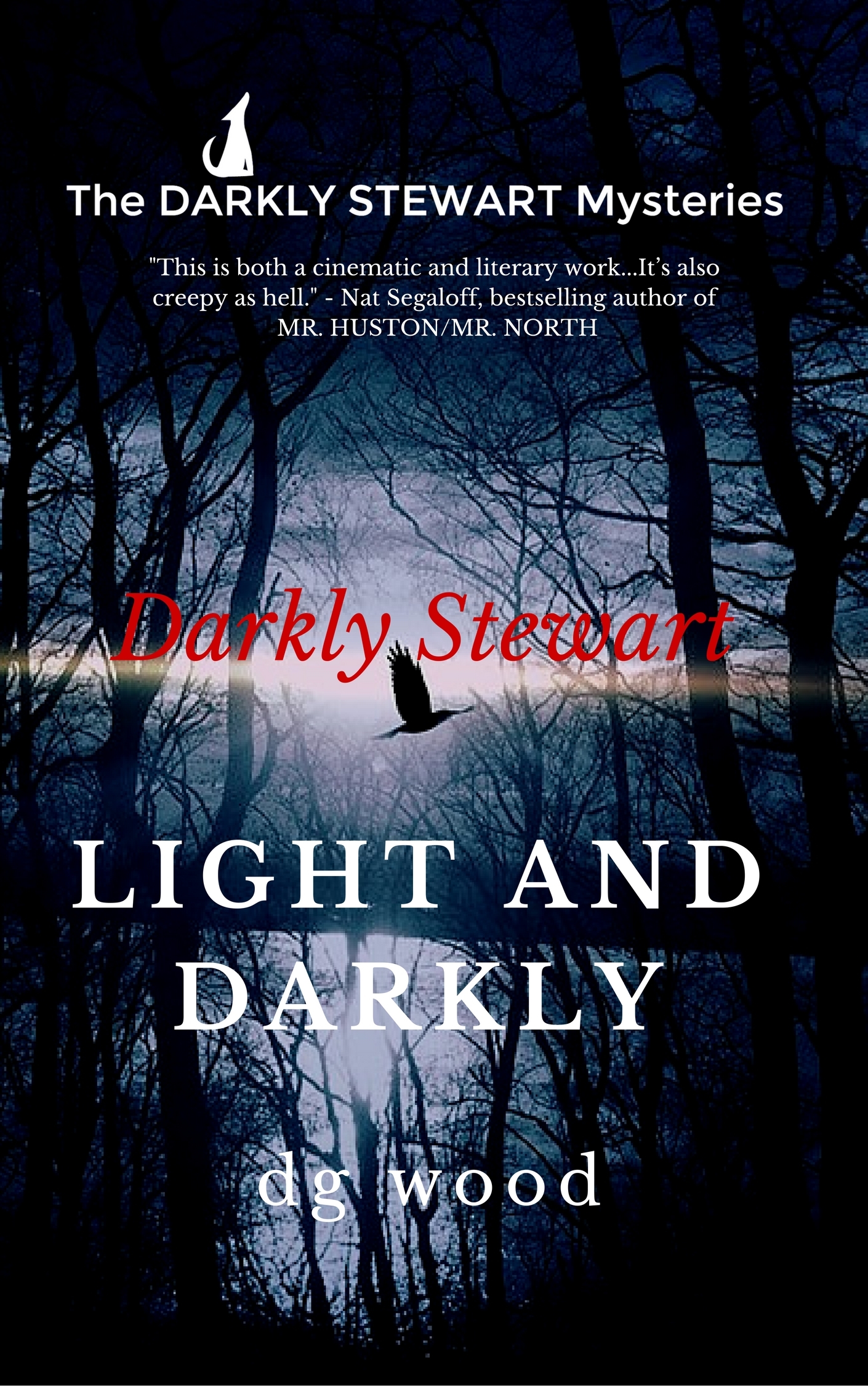 Light and Darkly (The Darkly Stewart Mysteries, #2) by D.G. Wood ...