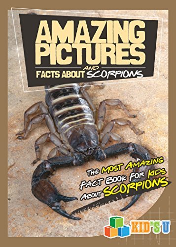 Amazing Pictures and Facts About Scorpions: The Most Amazing Fact Book ...