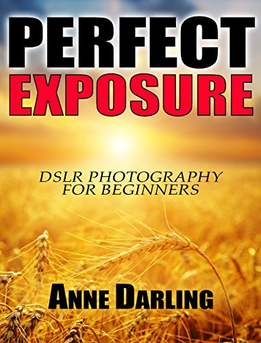 Capturing Light: Perfect Exposure Every Time: DSLR Photography for ...