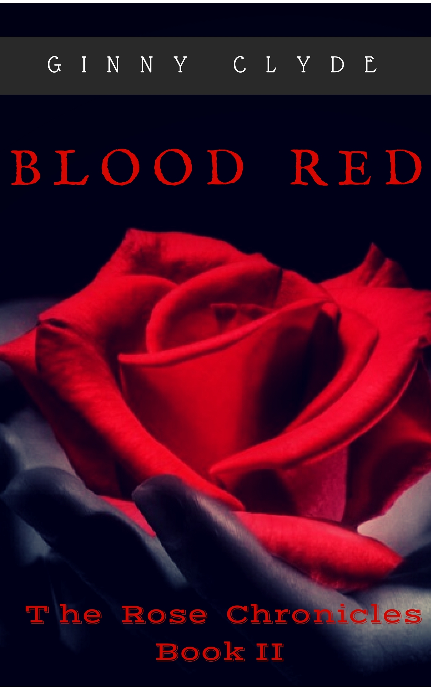 Blood Red Rose (The Rose Chronicles, #2) by Ginny Clyde | Goodreads