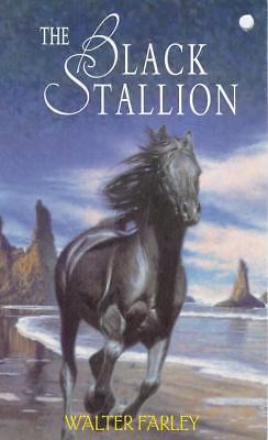 The Black Stallion (Black Stallion Series, Book 1) by Walter Farley ...