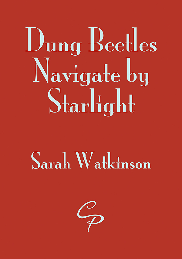 Dung Beetles Navigate by Starlight by Sarah Watkinson | Goodreads
