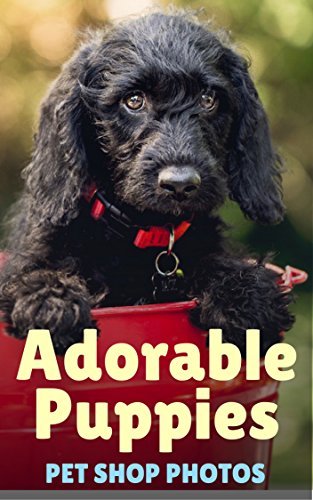Adorable Puppies: I Love Dogs Picture Book by World Photographs | Goodreads