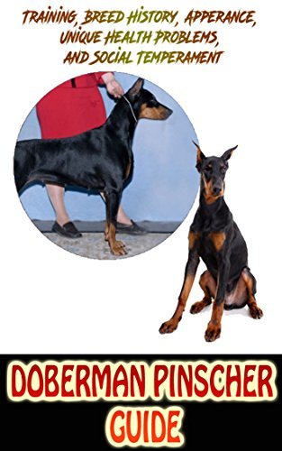 Doberman Pinscher Guide: Training, Breed History, Appearance, Unique ...