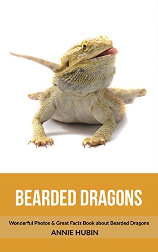 Bearded Dragons: Wonderful Photos & Great Facts Book about Bearded ...