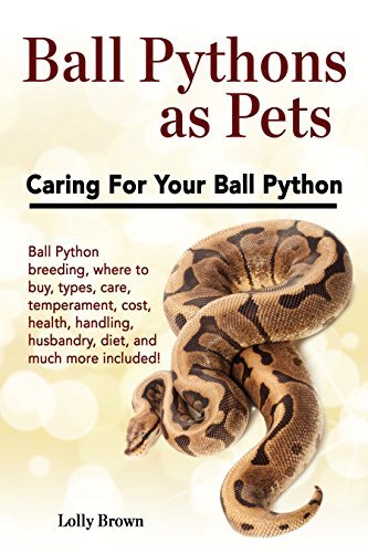 Ball Pythons as Pets: Ball Python breeding, where to buy, types, care ...