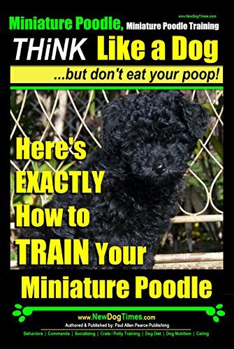 Miniature Poodle, Miniature Poodle Training - Think Like a Dog ~ but ...