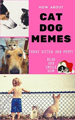 HOW ABOUT CAT DOG MEMES: FUNNY KITTEN PUPPY DOG CAT JOKE GAG AND LOVER ...