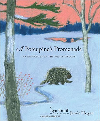 A Porcupine's Promenade: An Encounter in the Winter Woods by Lyn Smith ...
