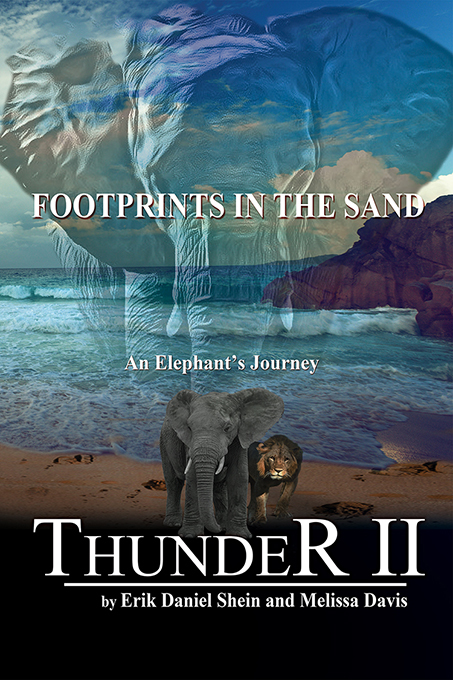 Footprints in the Sand by Erik Daniel Shein | Goodreads
