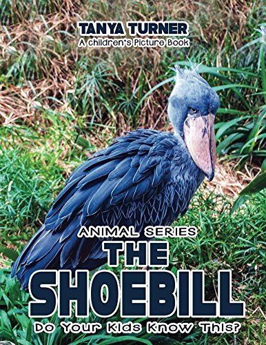 THE SHOEBILL Do Your Kids Know This?: A Children's Picture Book by ...