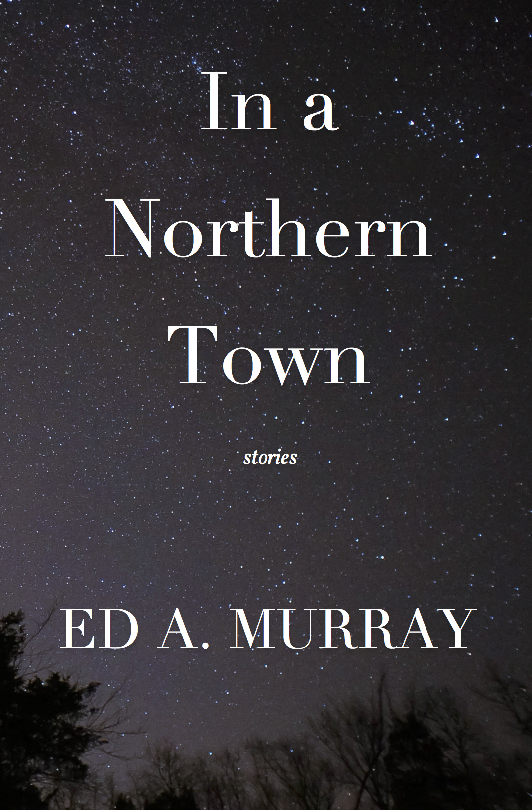 In a Northern Town by Ed A. Murray | Goodreads