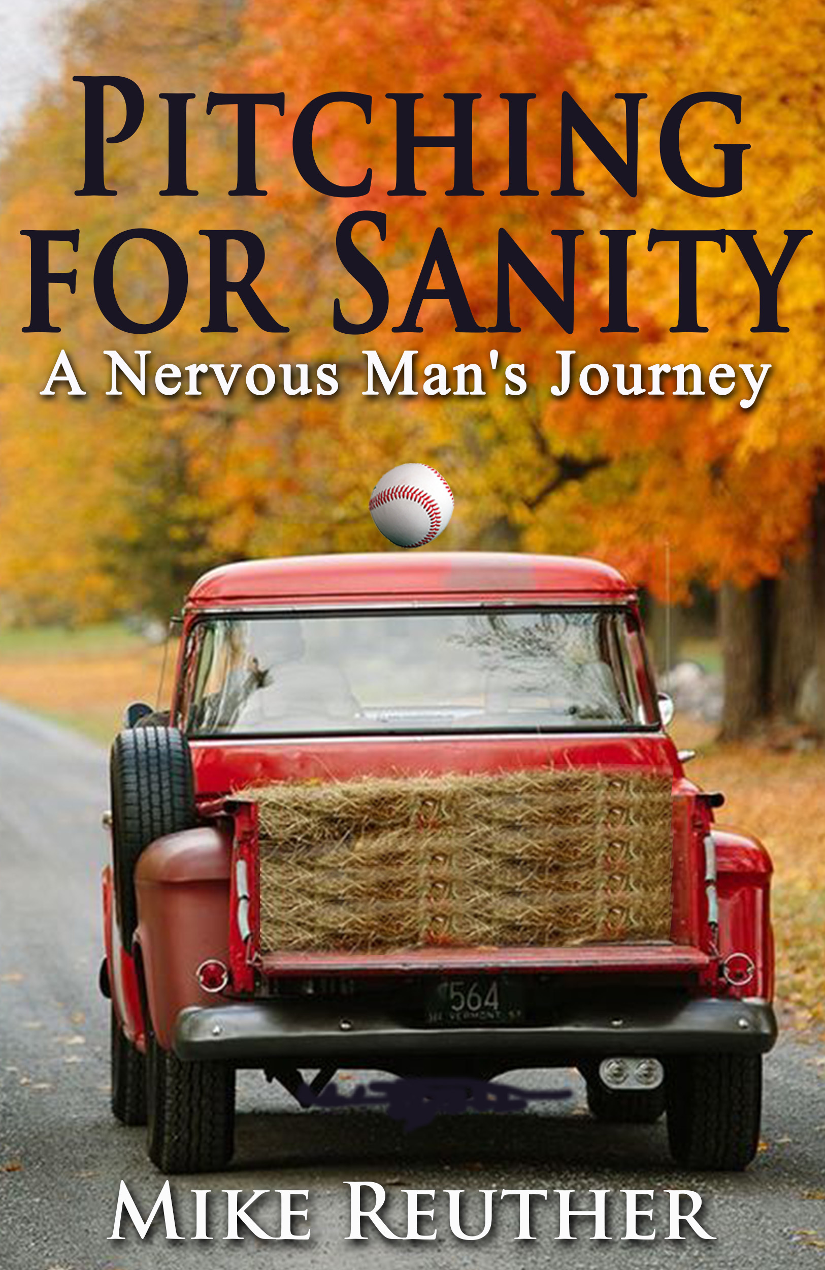 Pitching for Sanity by Mike Reuther | Goodreads