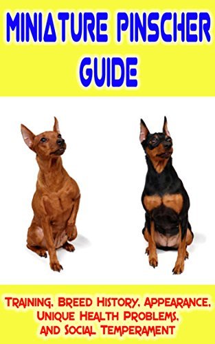 Miniature Pinscher Training Guide: Training, Breed History, Appearance ...
