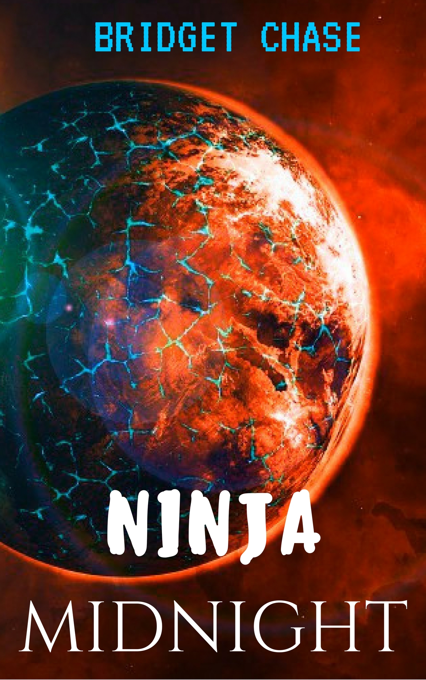 Ninja Midnight by Bridget Chase | Goodreads