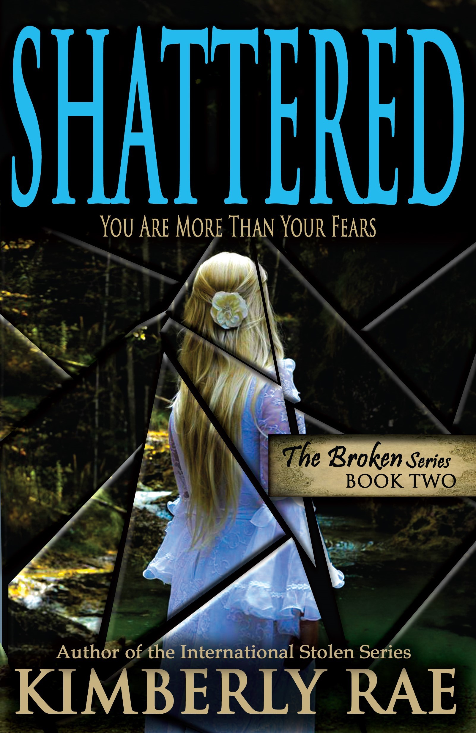 Shattered: You Are More Than Your Fears (The Broken) by Kimberly Rae ...
