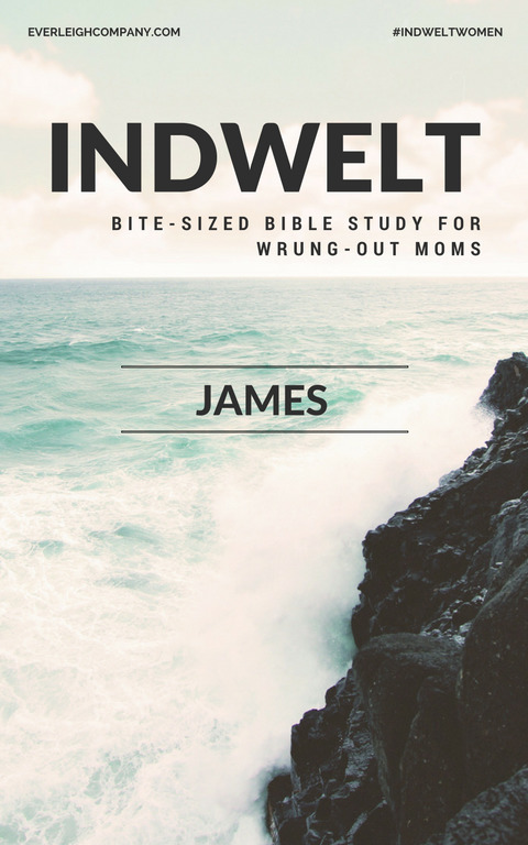 Indwelt Bible Study Guide: Bite-Sized Study for Wrung-Out Moms by ...
