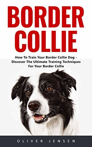 Border Collie: How to Train Your Border Collie Dog - Discover The ...