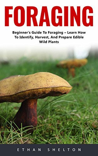 Foraging: Beginner’s Guide To Foraging – Learn How To Identify, Harvest ...