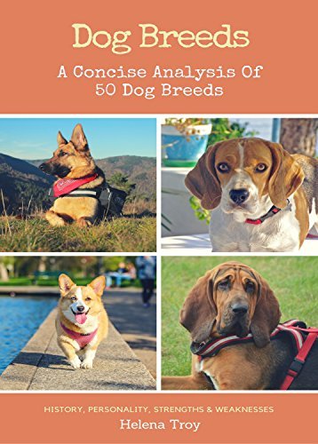Dog Breeds: A Concise Analysis of 50 Dog Breeds - History, Personality ...