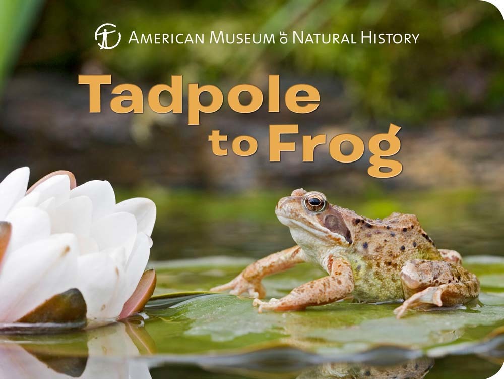 Tadpole to Frog by American Museum of Natural History | Goodreads