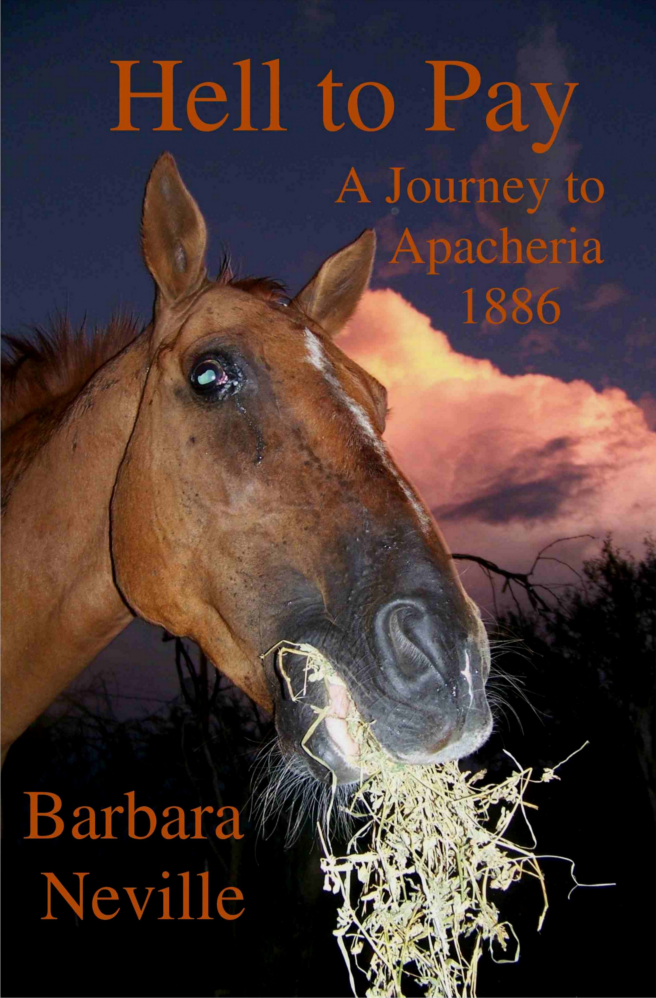 Hell to Pay: A Journey to Apacheria 1886 by Barbara Neville | Goodreads