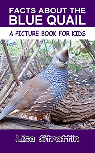 Facts About the Blue Quail by Lisa Strattin | Goodreads