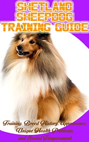 Shetland Sheepdog Training Guide: Training, Breed History, Appearance ...