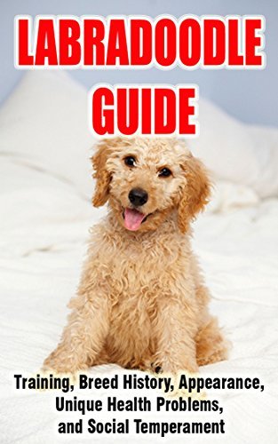 Labradoodle Training Guide: Training, Breed History, Appearance, Unique ...