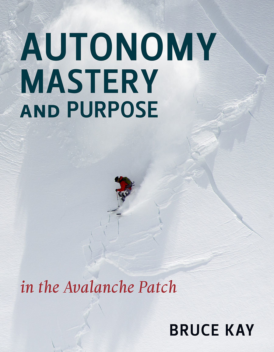 Autonomy, Mastery and Purpose in the Avalanche Patch by Bruce Kay | Goodreads