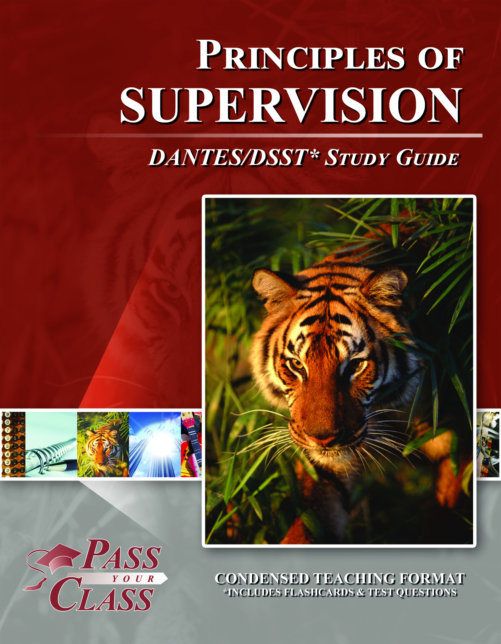 DSST Principles of Supervision DANTES Test Study Guide by PassYourClass ...