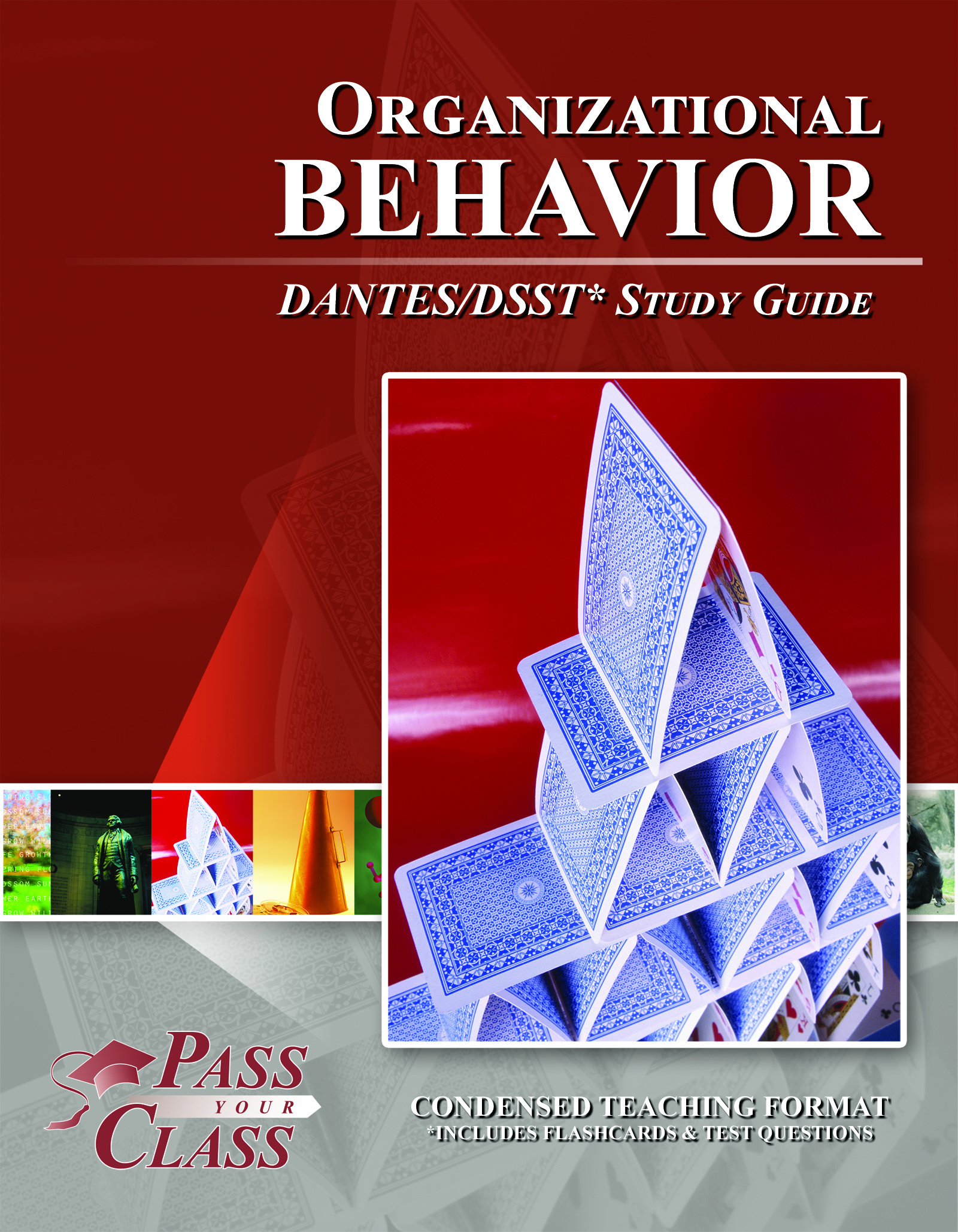 DSST Organizational Behavior DANTES Test Study Guide by PassYourClass ...