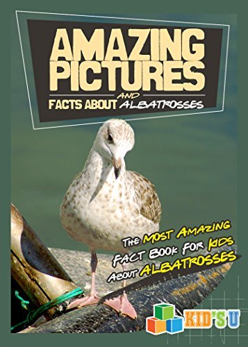 Amazing Pictures and Facts About Albatross: The Most Amazing Fact Book ...