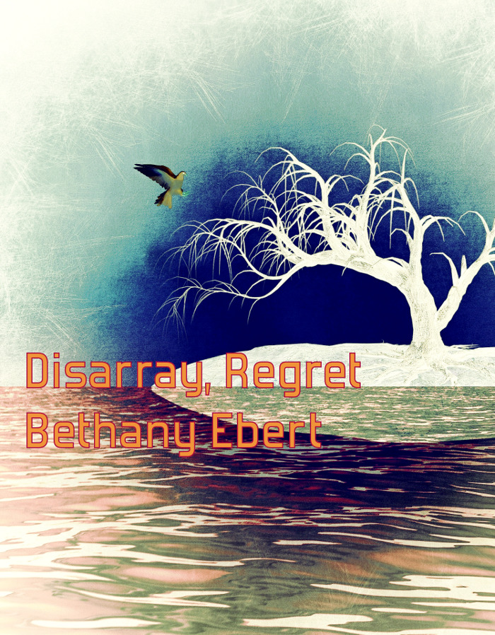 Disarray, Regret by Bethany Ebert | Goodreads