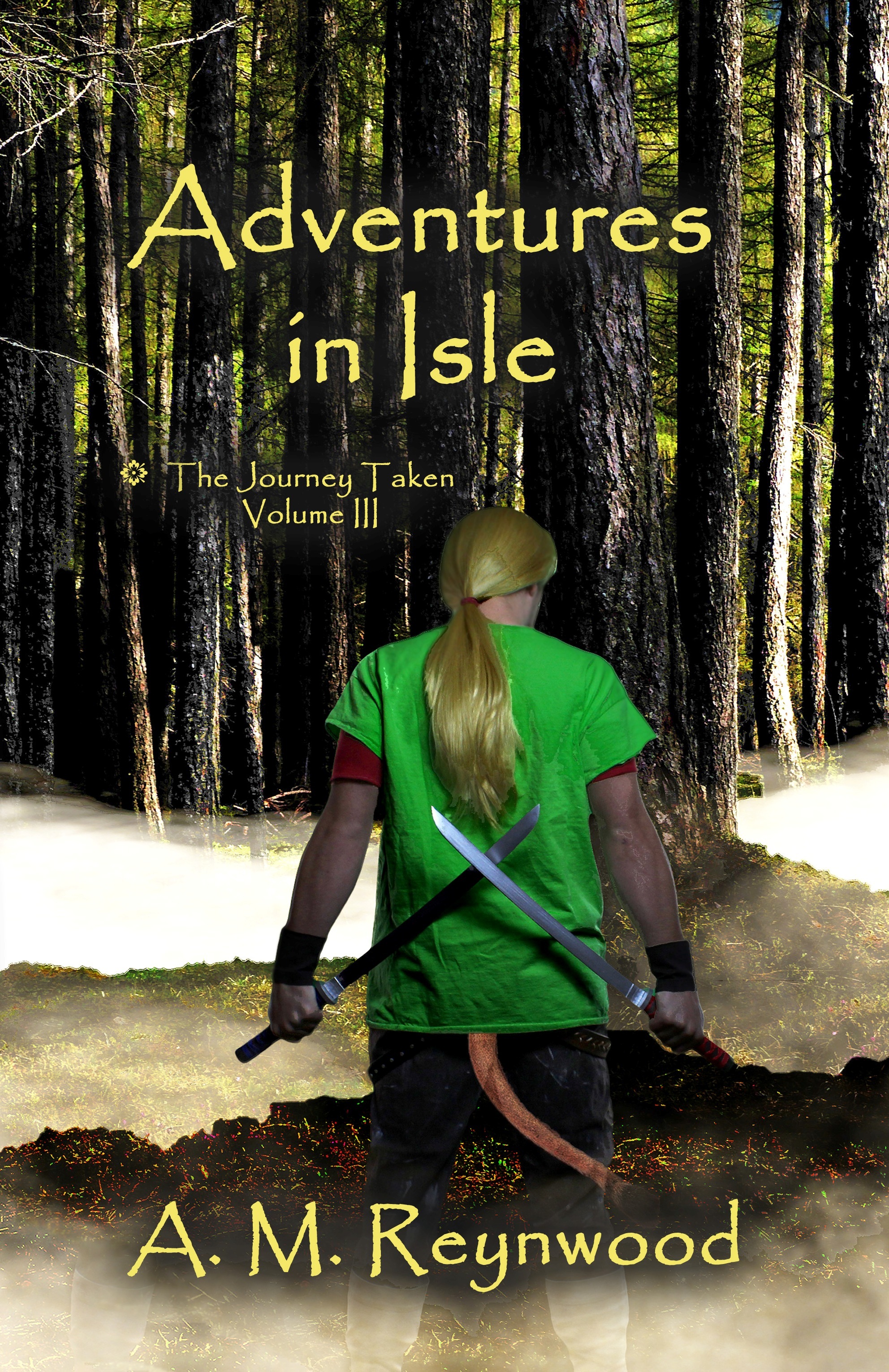Adventures in Isle (The Journey Taken, #3) by A.M. Reynwood | Goodreads
