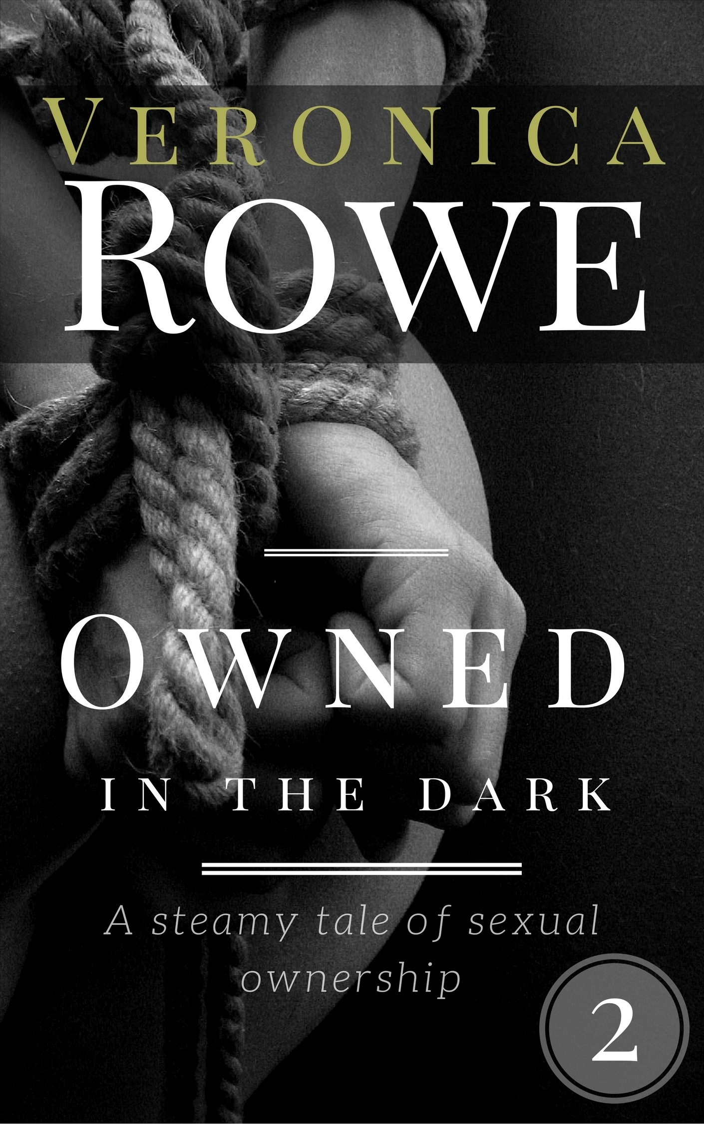 Owned in the Dark by Veronica Rowe | Goodreads