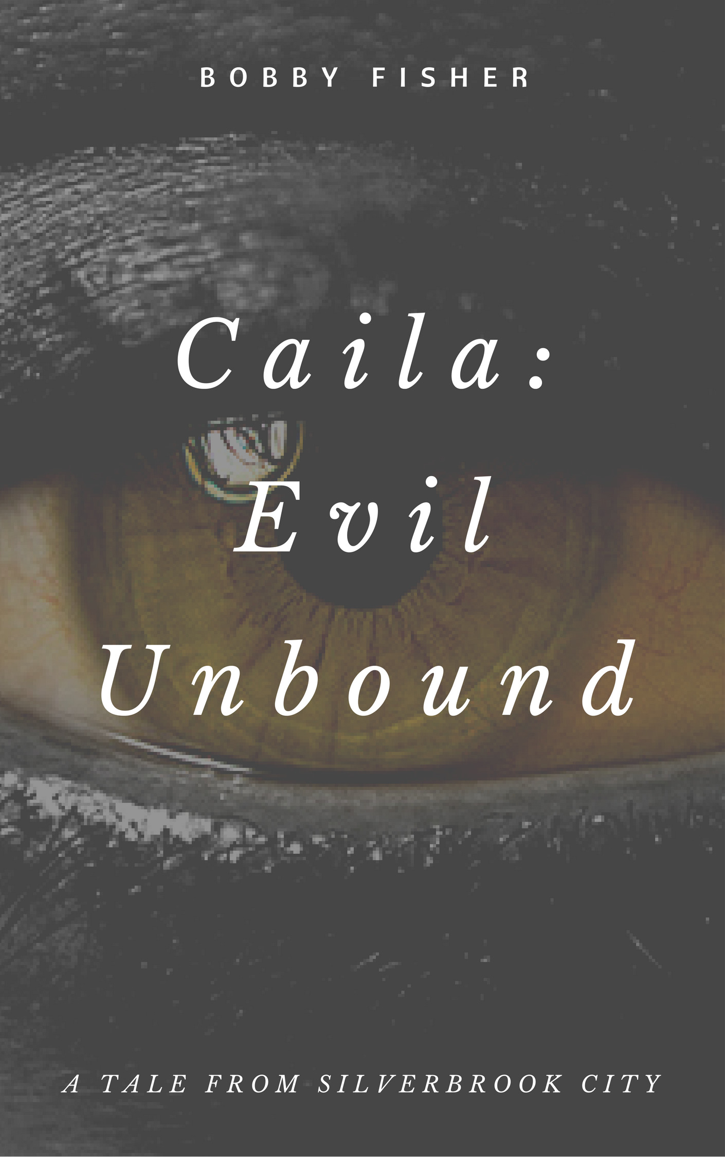 Caila: Evil Unbound (A Tale From Silverbrook City) by Bobby Fisher ...