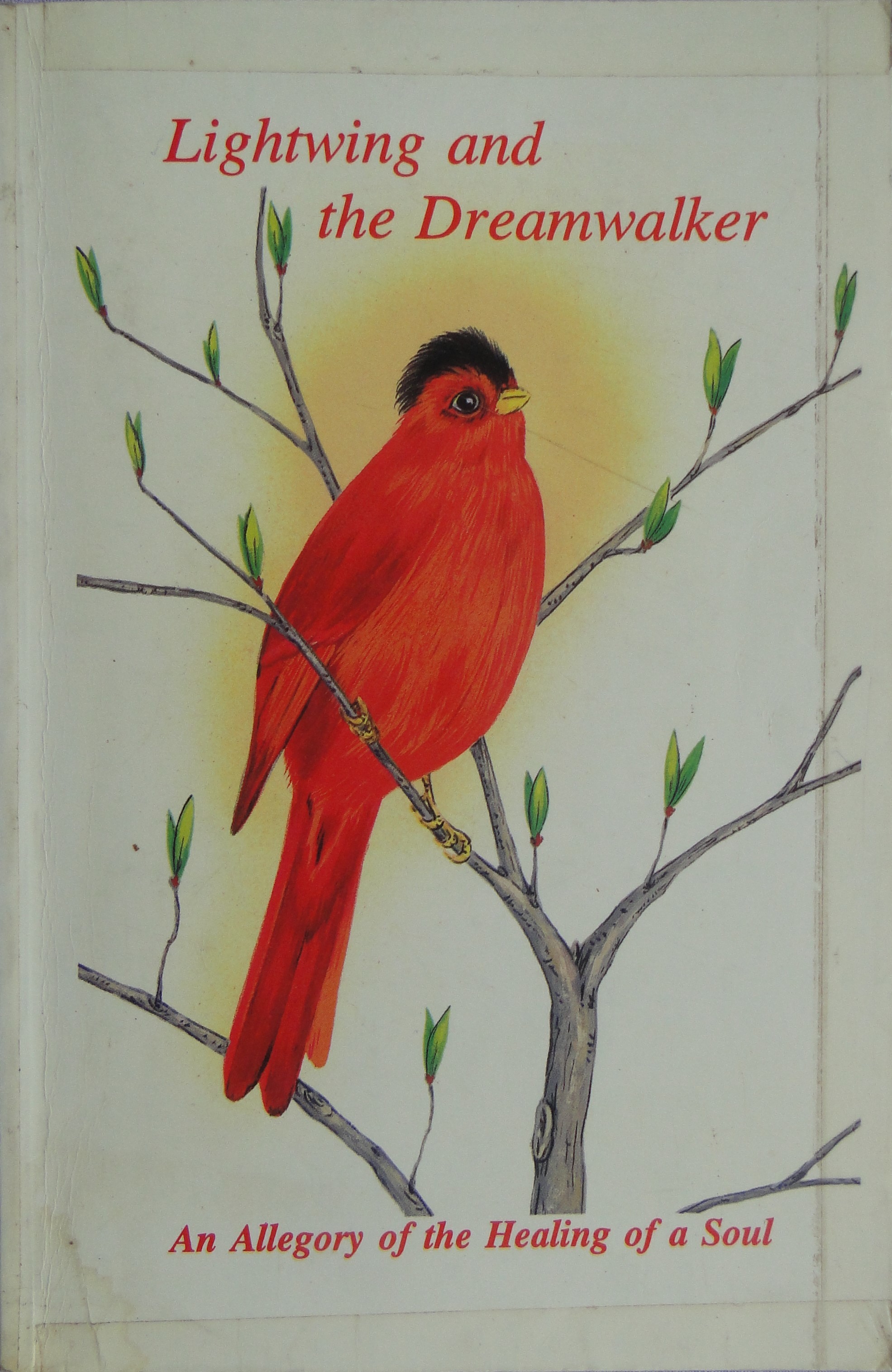 Lightwing and the Dreamwalker by Charles W. Gregory | Goodreads